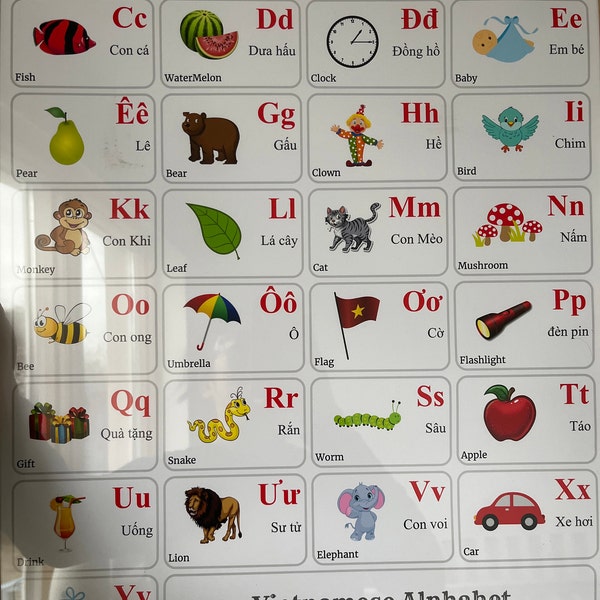 AMHARIC Alphabet FLASHCARD With Picture, Learning AMHARIC, Amhari ...