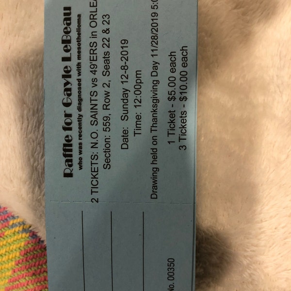 250 RAFFLE TICKETS Custom Printed Numbered Raffle Tickets Fundraiser ...