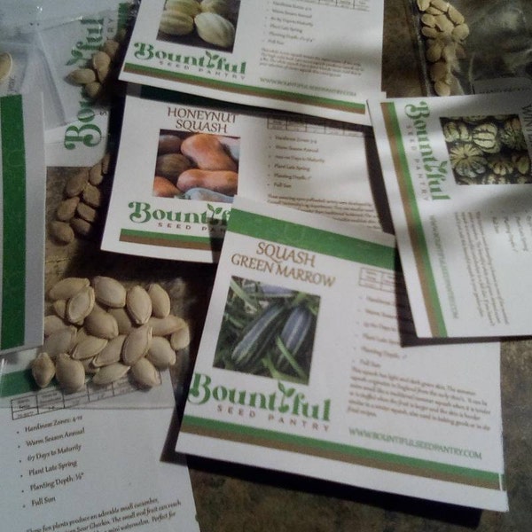 Squash Calabacita Mexican Grey Squash Grey Squash Grey Zucchini Summer ...