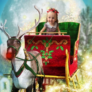 BUNDLE Sea Creatures Overlays, Fish, Jellyfish, Dolphins, Sea Turtles ...