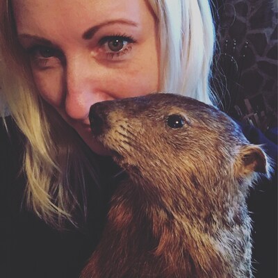 Mouse Skull Real Tiny Mouse Skulls Cleaned Whitened - Etsy