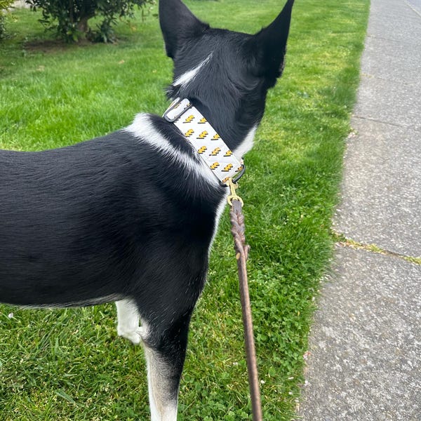 Retro Checkered Cat Collar With Bell, Colorful Male Cat Breakaway ...