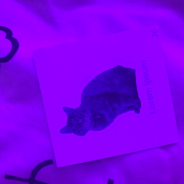 Weirdcore Stickers Pack Mystery Box 5 Vinyl Stickers - Etsy