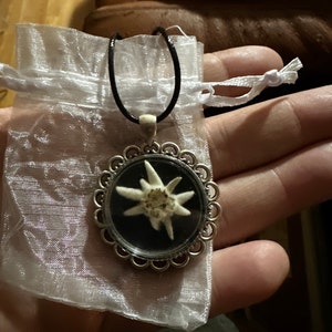 REAL Dried Flower Edelweiss Blossom Gift Ornament 3heart Shaped ...