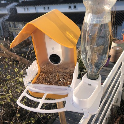 3D Printed Food Extension With Fence for the Bird Buddy® Food Extension ...