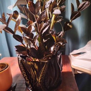 Pyramid Planter With Tray and Drainage for Succulents and - Etsy