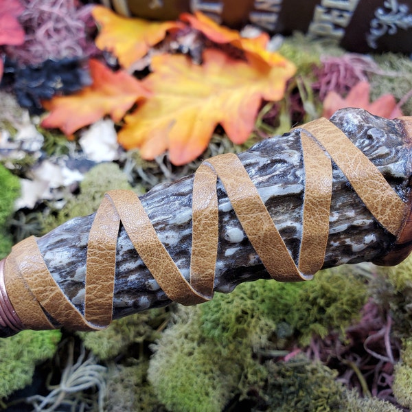 12 Pack - Extra Large Deer Antler Crafting Tips, Tines, Points - Grade ...