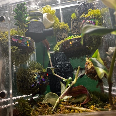 Wicking Water Feeder Trough for Small Pets Insects, Spiders, Beetles ...