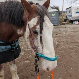 Bit Hobble Curb Strap Chinstrap Horse Tack Paracord Horse | Etsy