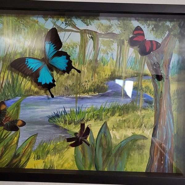 Real Lanternfly/plant Hopper Collection Pyrops Pyrorhyncha Zanna ...