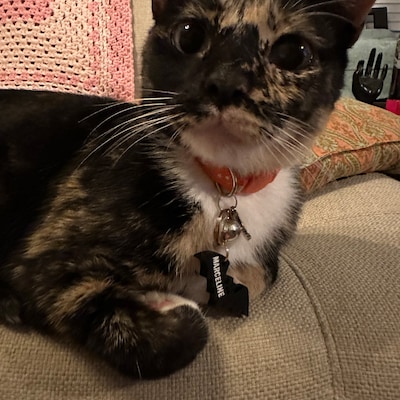 Gothic Pet ID Tag, Custom Dog Tag, Cat Collar Tag, Glitter Dog Tag ...