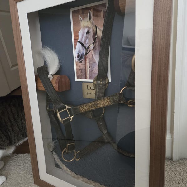 Horse Memorial Shadow Box | Custom Halter Keepsake Frame With Photo ...
