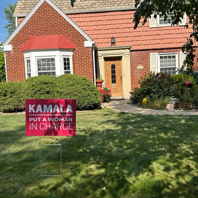 What is Democracy, Vinyl Democracy Sticker, Indoor/outdoor, Multiple ...