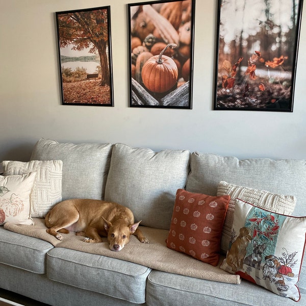 Autumn Gallery Wall Set of 6, Fall Print Set, Farmhouse Prints, Pumpkin ...