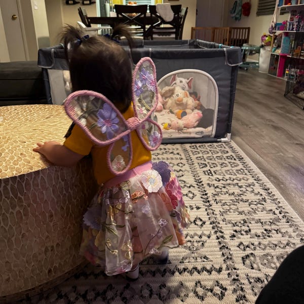 Adult Extra Large Floral Embroidery Fairy Wings Hand Crafted High ...