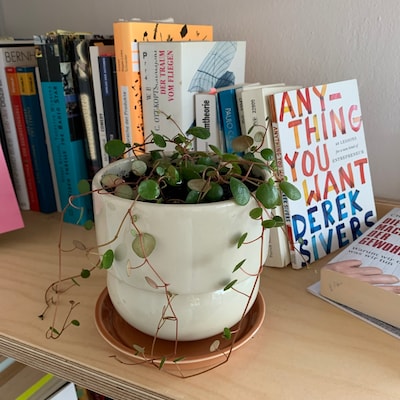 Green Planter Vintage Planter Birthday Gift for Crazy Plant - Etsy