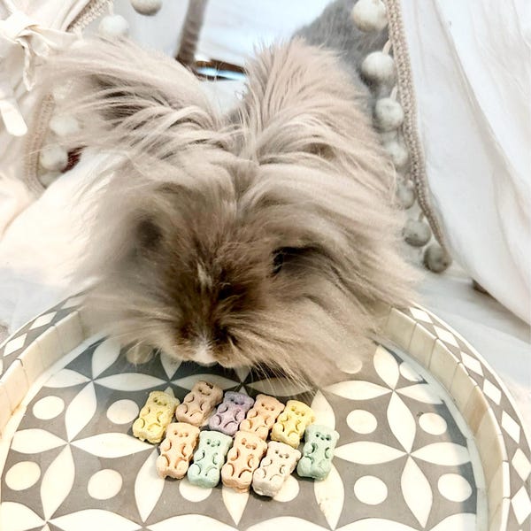 Bunny O's Cereal Treat, Rabbit Fruit Loops Inspired Treat, Small Animal ...