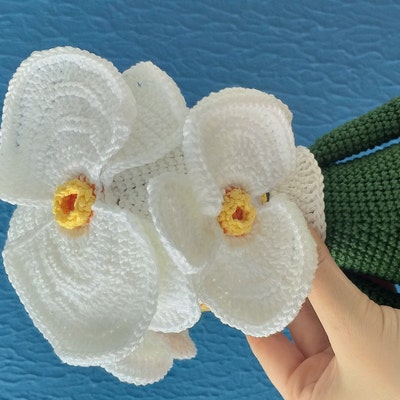 Crochet Pattern Amigurumi Doll orchid Ollie PDF - Etsy