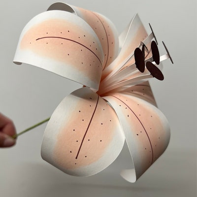 LARGE Paper Flower Kit, DIY Paper Flower Kit You Choose Flower and ...