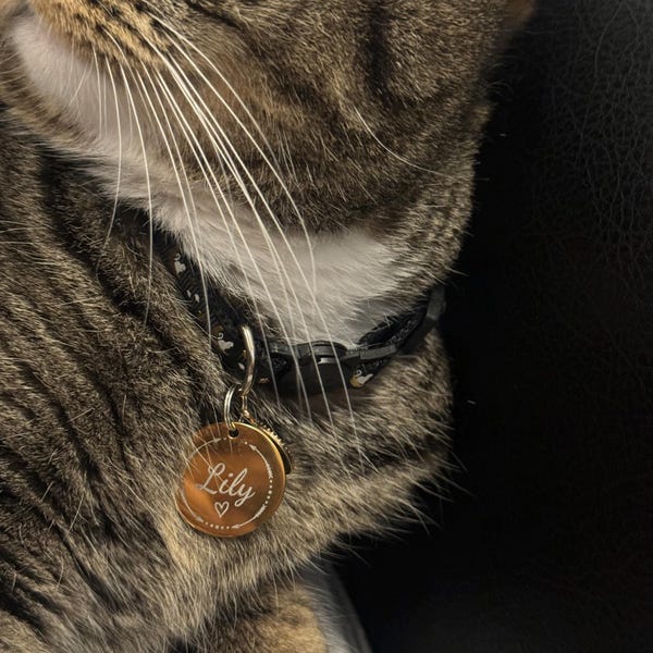 Pet ID Tags Personalized, Engraved Dog Tag Pet Tags, Custom Collar Pet ...