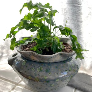 Succulent Planter / Azalea Pot / Ceramic Succulent Pot / | Etsy