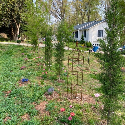 QTY 2 Wrought Iron 19 Twist Topiary Flower Trellis, Garden Plant Climber, Rustic Yard Sculpture ...