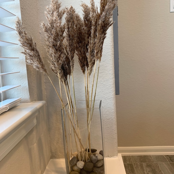 6" Juniper Sticks , Juniper Sticks, Juniper Scent Sticks, Juniper ...