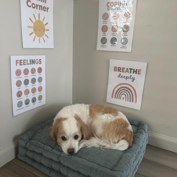 Calming Corner Posters Calm Corner Classroom Posters Feelings Chart ...