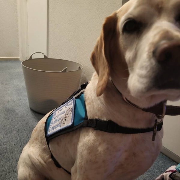 Personal Healthcare Companion Patch - Etsy