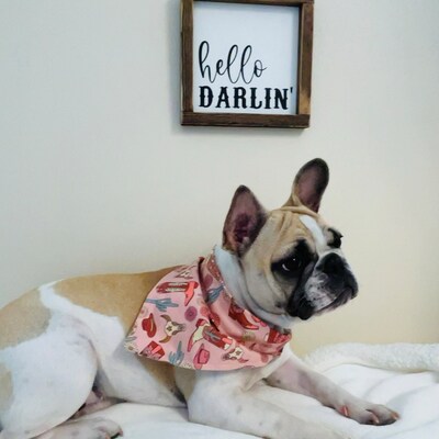 Hello Darlin' Rustic Farmhouse Wooden Decor Western Decor Master ...