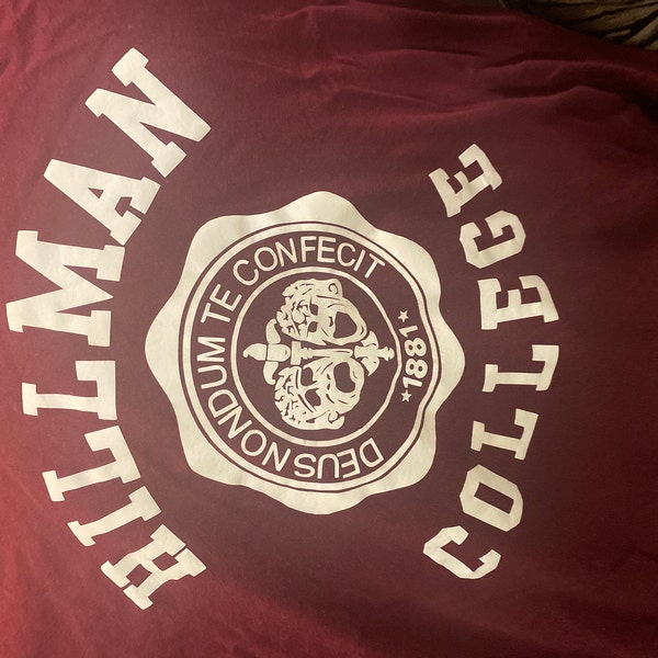 Hillman College Digital Download • A Different World Iron-on Transfer ...