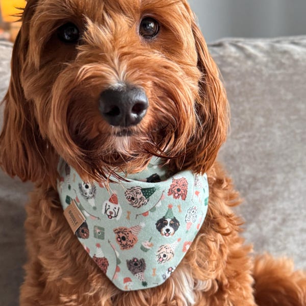 Fil A Dog Bandana | Chicken Nugget Dog Bandana | Chick Dog Bandana ...