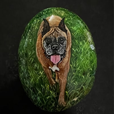 Custom Pet Portrait With Background Painted Rocks From Your Photograph ...