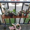 License Plate Planter, Random State, Handmade From Vintage American ...