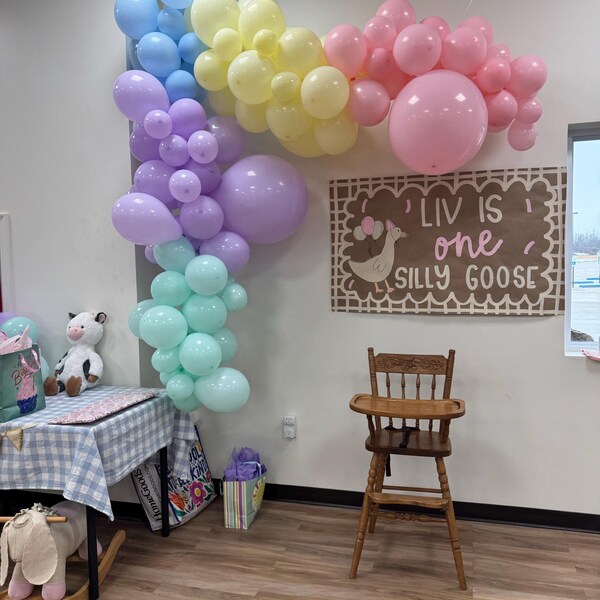 One Silly Goose Party | Goose Theme Party | One Silly Goose 1st ...