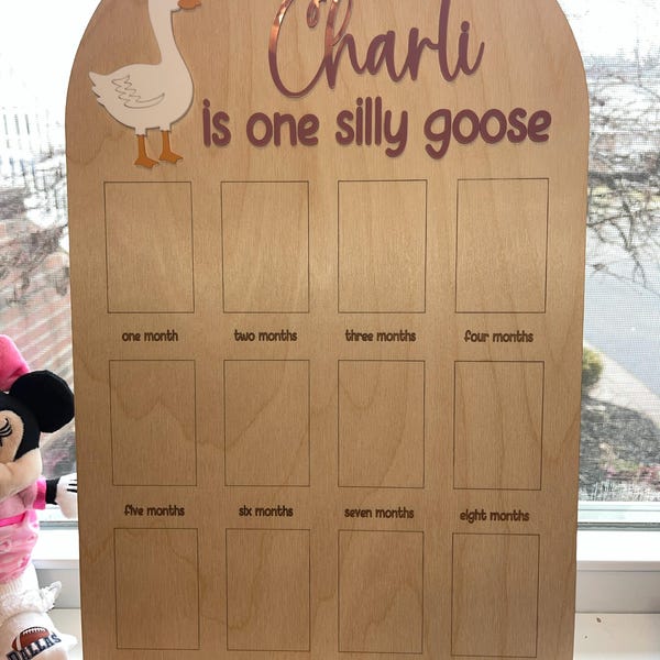 Personalized One Silly Goose 1st Birthday Photo Board - Multiple Sizes ...