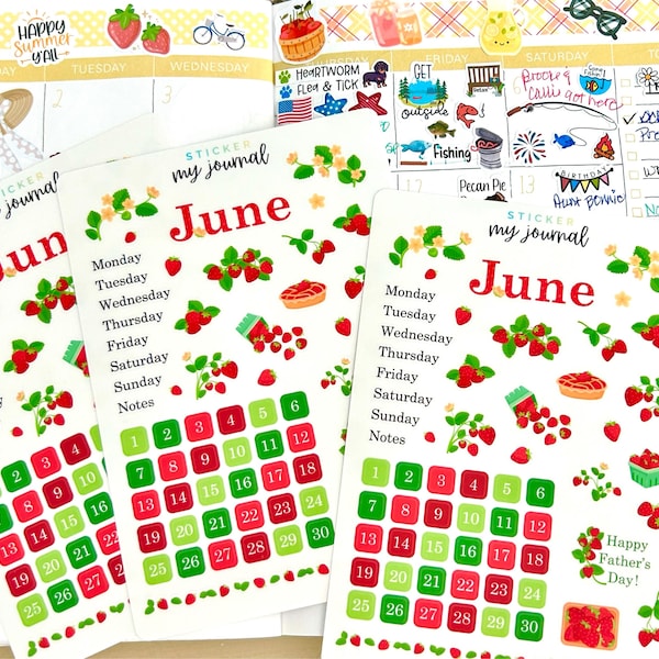 June Monthly Bullet Journal Sticker Kit Strawberry Themed Sticker ...