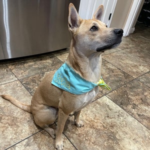 Dog Bandana With Snap Reversible Dog Bandana Embroidered Dog Bandana ...