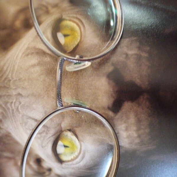 Persephone's Pearls, Poseidon's Pearls, Percy Jackson and the Olympians ...