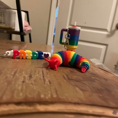 3D Printed Ally Flag Fidget Slug - Etsy