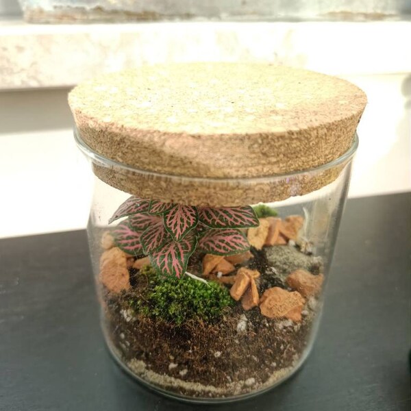 LED Table Lamp With Real Natural Elements - Etsy