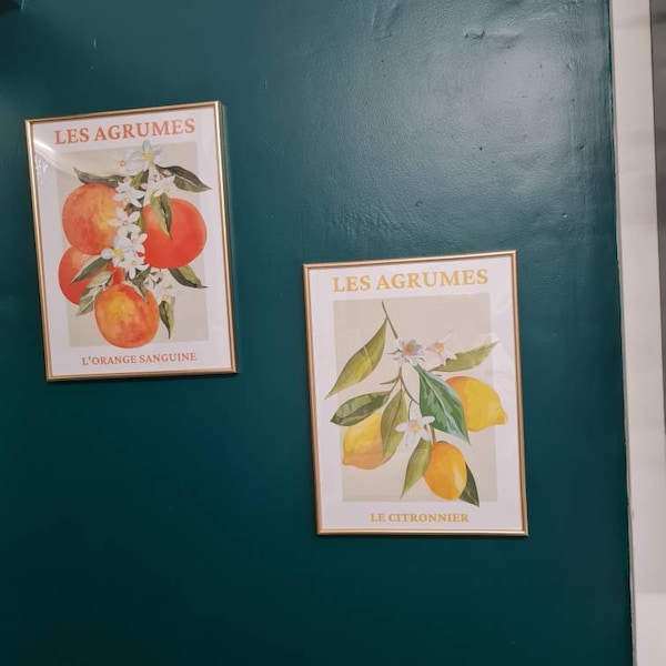 Citrus Fruit Print, Set of 3 French Fruit Art Prints, Fruit Wall Art ...