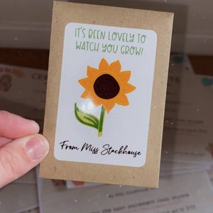 Personalised Birthday Seed Packet Seed Favours Party Favour - Etsy UK