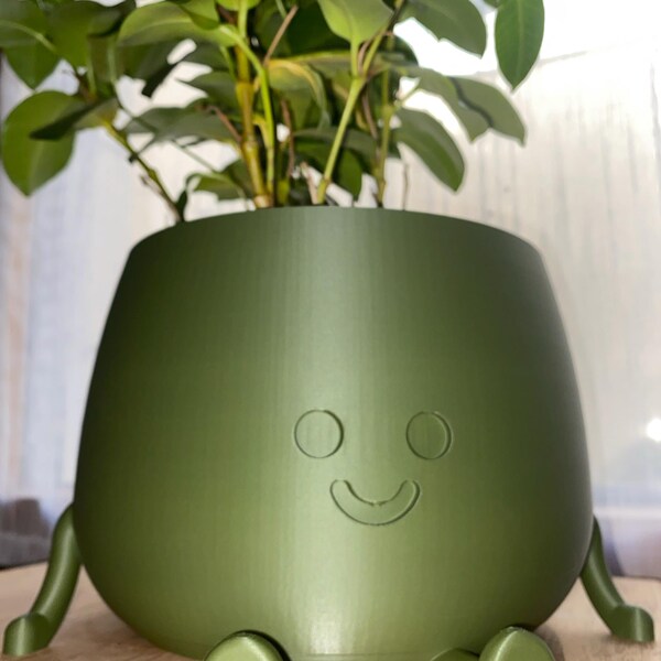 Cache pot doigt d'honneur rigolo en impression 3D - Etsy France