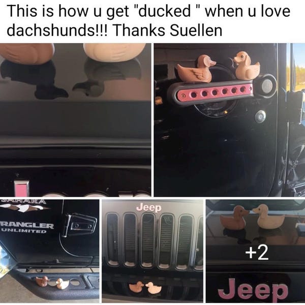 Dare Duck- 3D Printed Figurine - Etsy