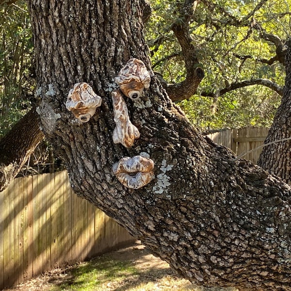 Forrest Stump - Concrete Tree Face Whimsical Mother's Day Gift Forest ...