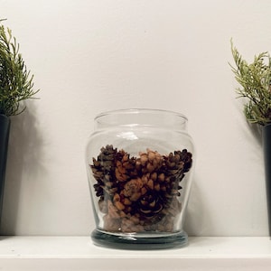 Dried Crepe Myrtle Seed Pods in Assorted Sizes, Natural Dried Mini ...