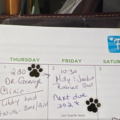 GT005 Foiled Check Box List Sticker. Check Box Sticker, List Label ...