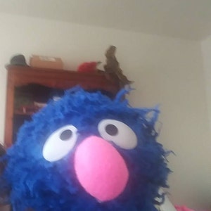 Unique Muppet Style Professional Puppet quirky, Sarcastic Personality ...