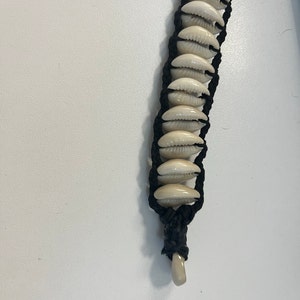 5 to 8 Real Snapping Turtle Shell With Plastron 229-WP-0508 Y3K - Etsy